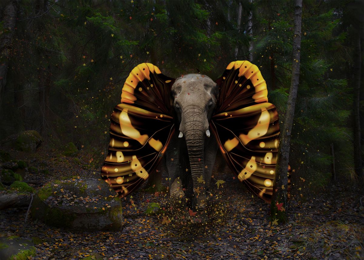 'butterphant' Poster, picture, metal print, paint by tricky dee | Displate