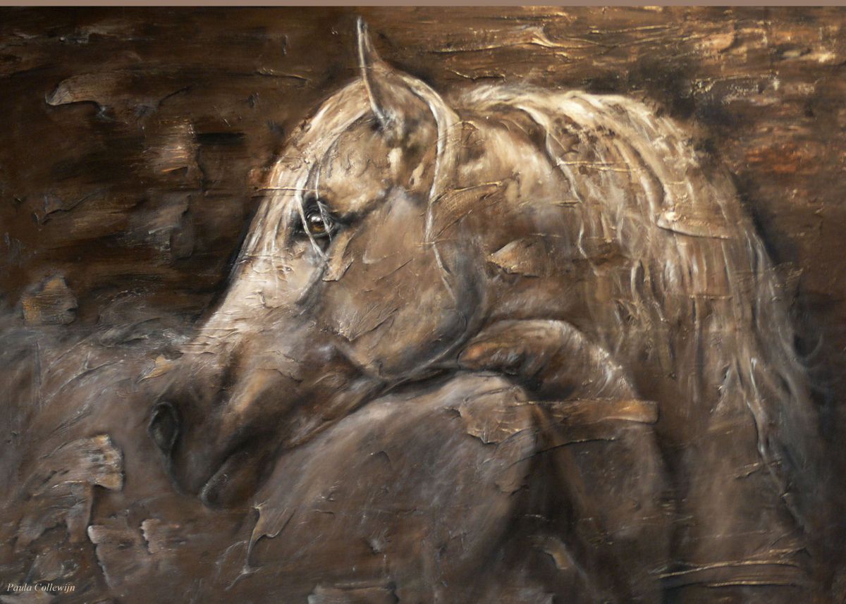 'Cashmere' Poster, picture, metal print, paint by Paula Collewijn ...