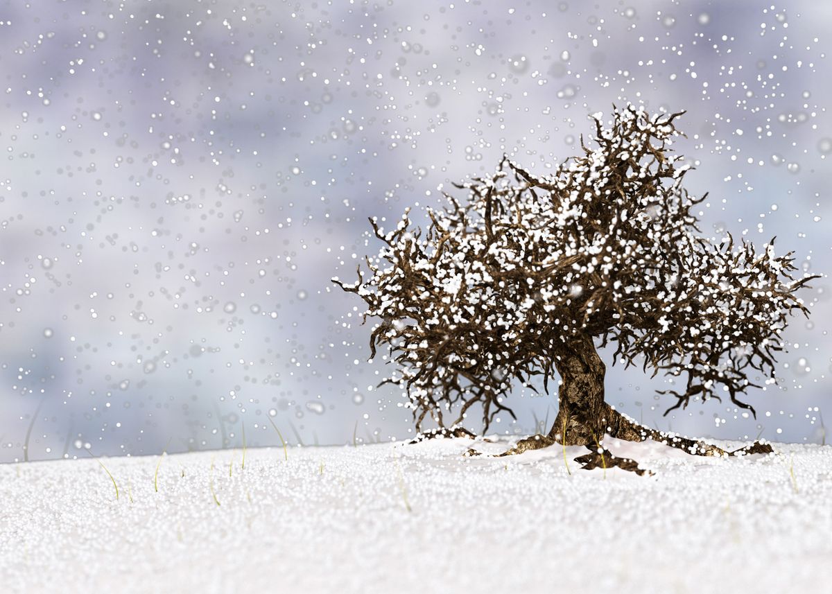 'Winter Tree' Poster, picture, metal print, paint by Emma L Kurran ...