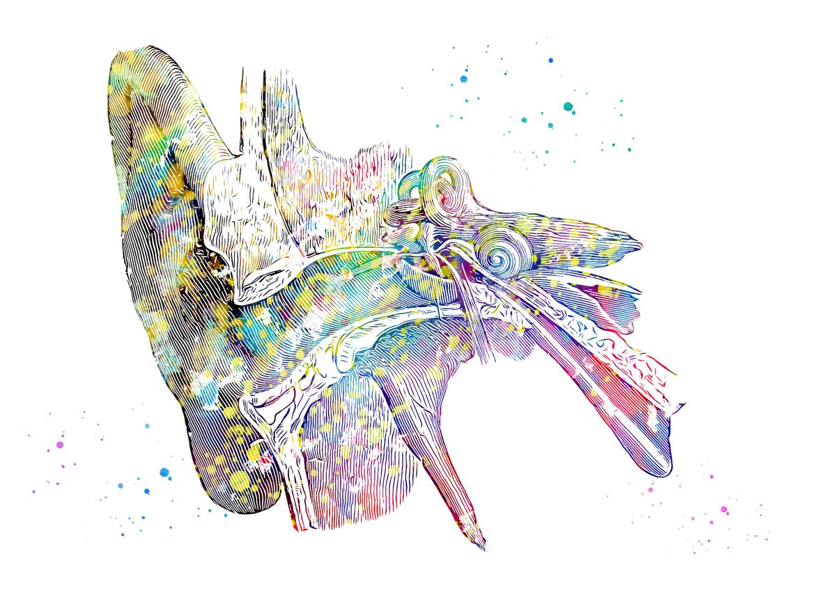 'Human ear ' Poster, picture, metal print, paint by Erzebet Prikel ...