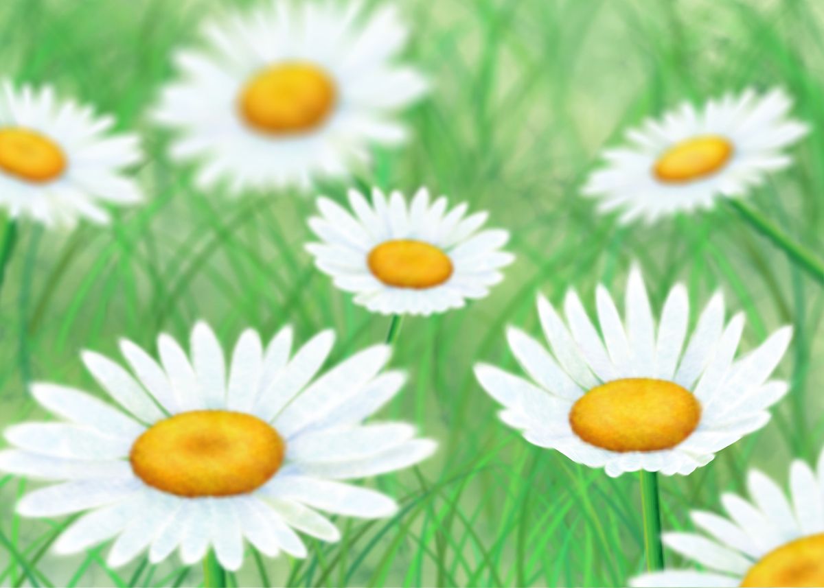 'Daisy' Poster, picture, metal print, paint by Emma L Kurran | Displate