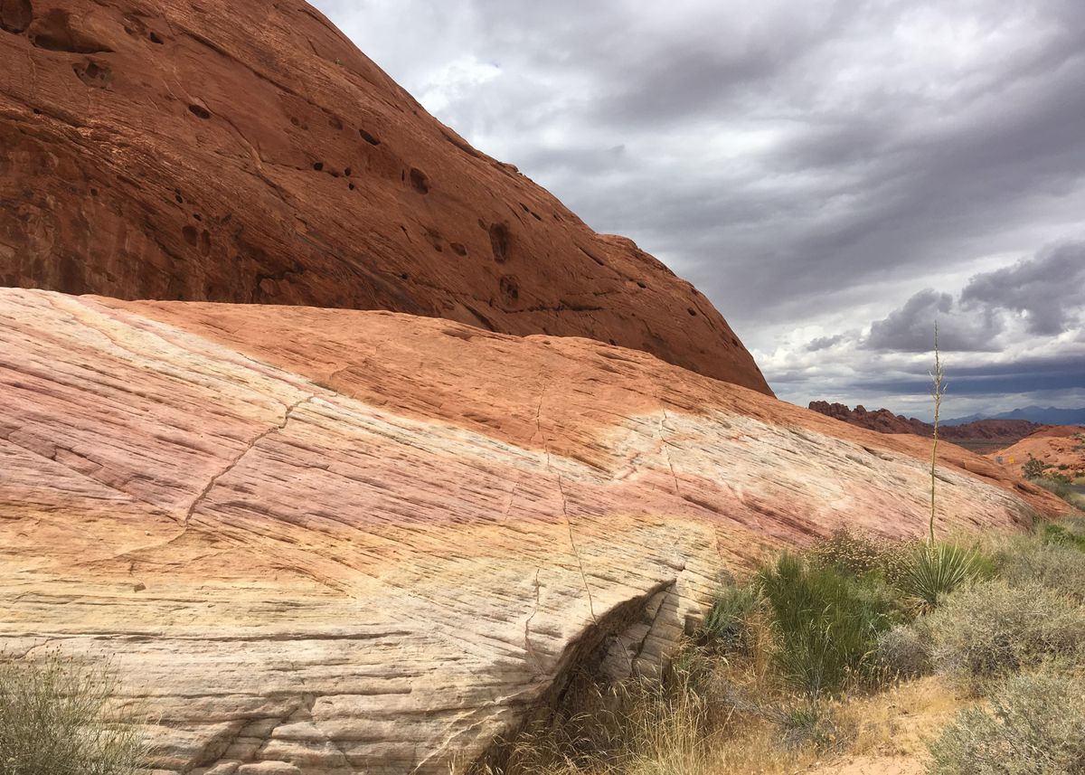 'Rainbow Earth Tones' Poster by Cat | Displate