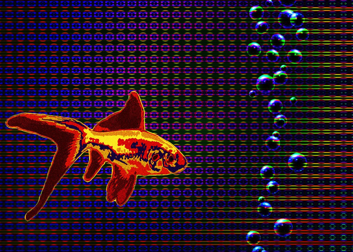 'RGB Fish' Poster, picture, metal print, paint by Bruce Rolff | Displate