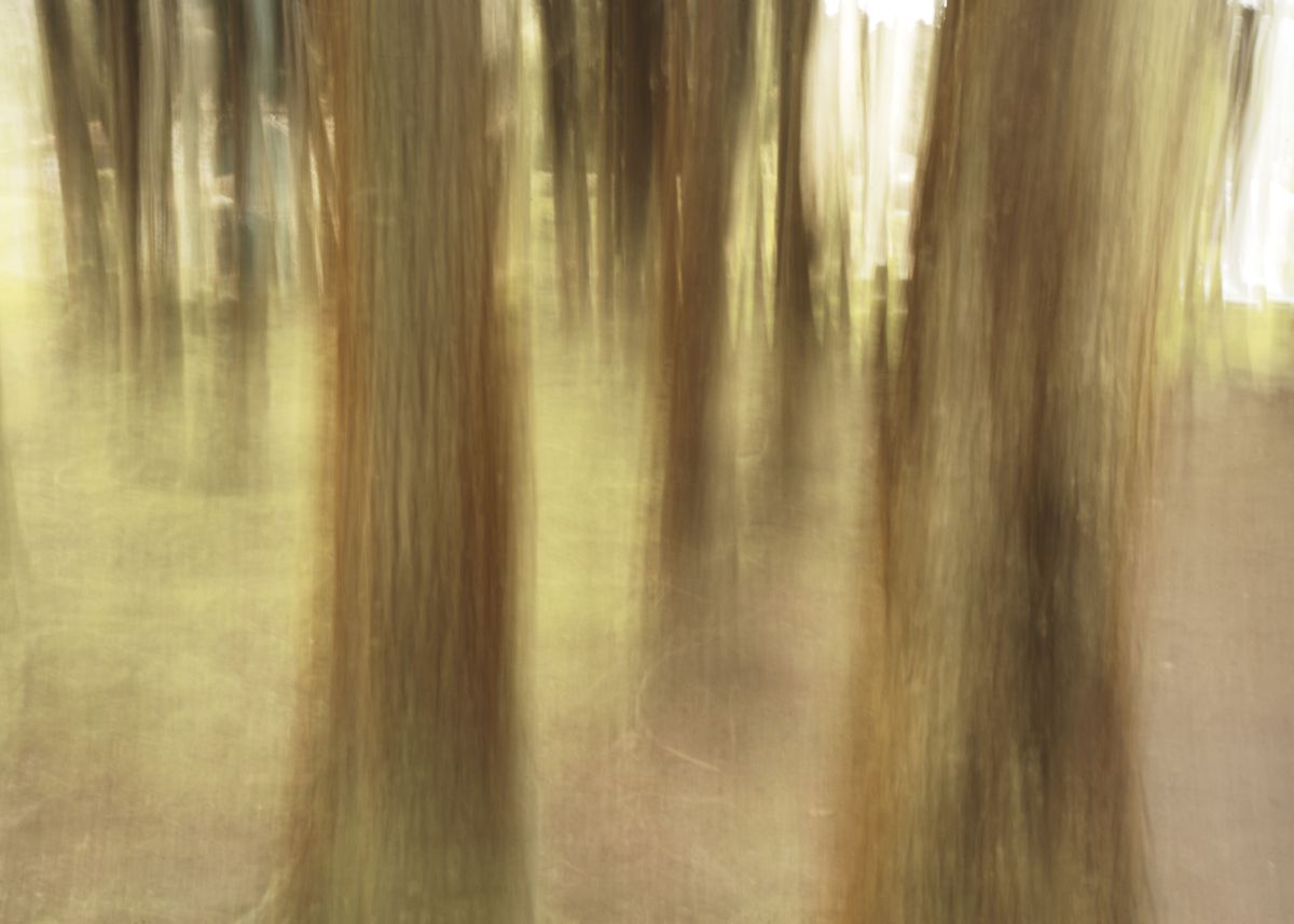 'Nature abstract' Poster, picture, metal print, paint by Gaspar Avila ...