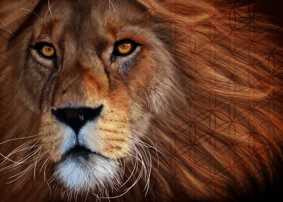 'King Lion' Poster by Alaak Univers | Displate