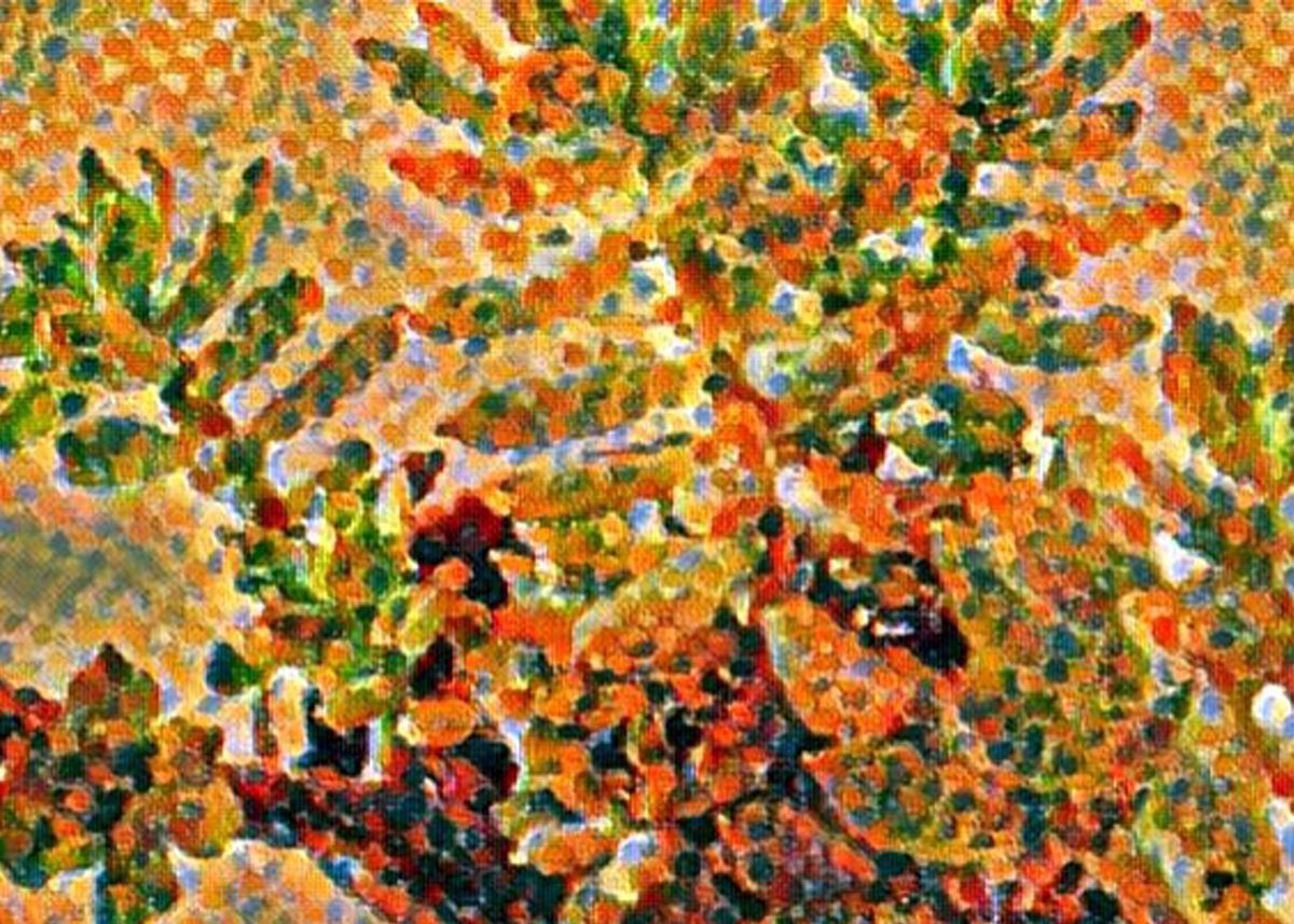 'Plant in Pointillism' Poster, picture, metal print, paint by Nemeth ...