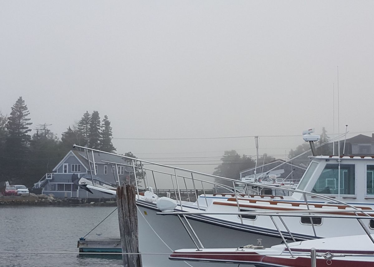 'Serene' Poster, picture, metal print, paint by WILLIAM LOCKRIDGE ...