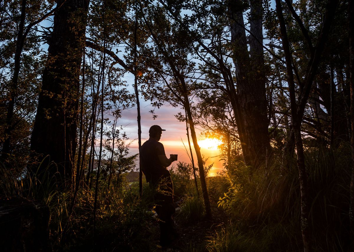 'Morning Contemplation' Poster, picture, metal print, paint by William ...