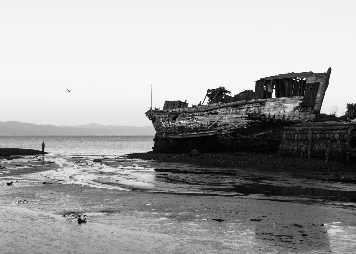 'Shipwreck Solitude' Poster by William Booth | Displate