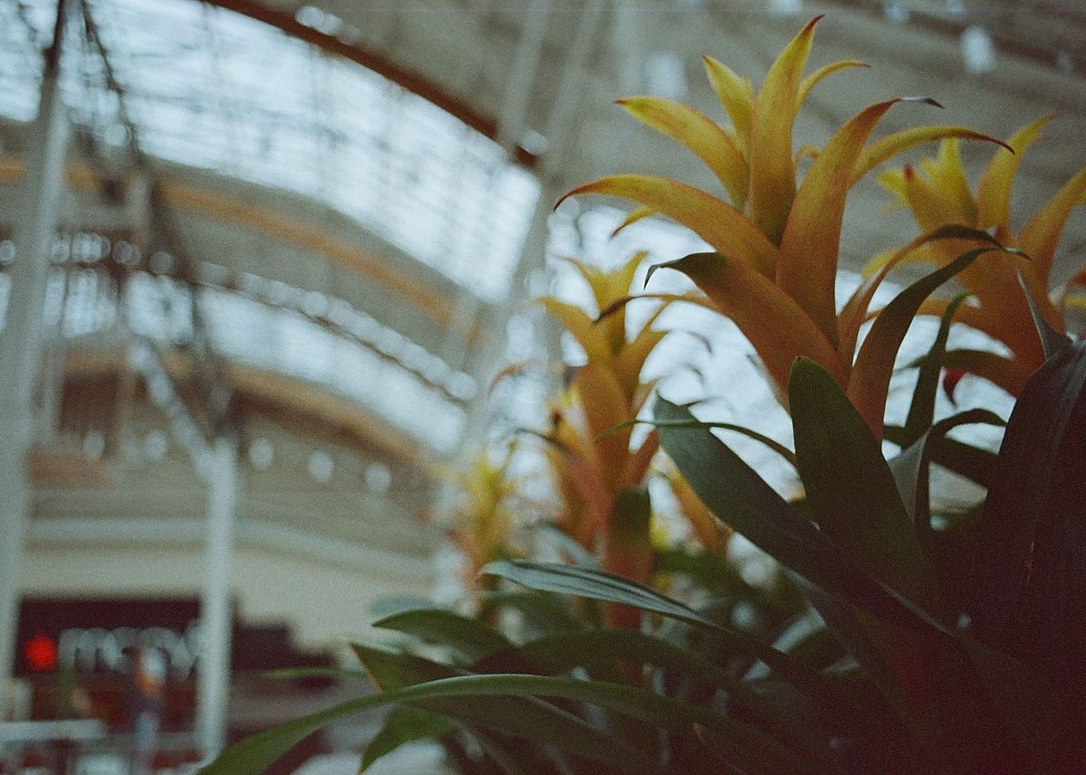 'Authentic Aesthetics' Poster, picture, metal print, paint by Delaney ...