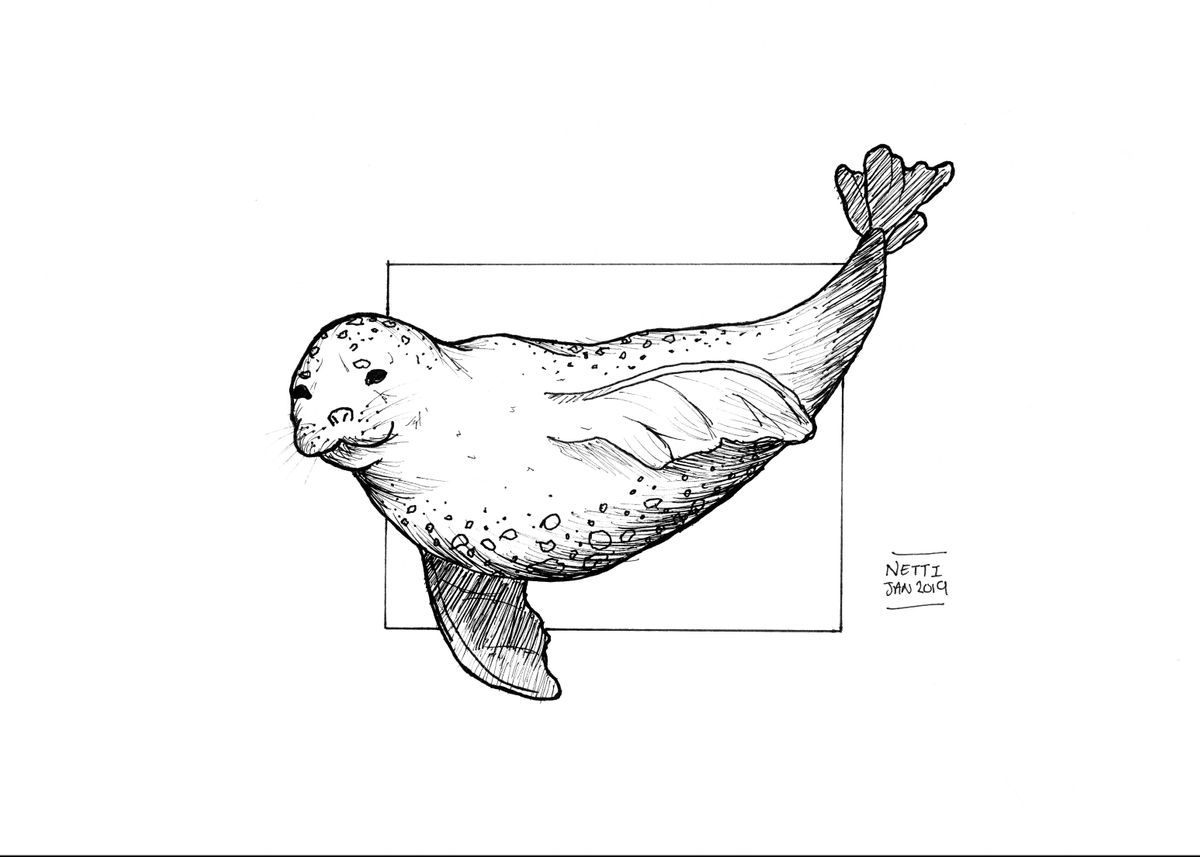 'Seal Print Lineart ' Poster, picture, metal print, paint by ...