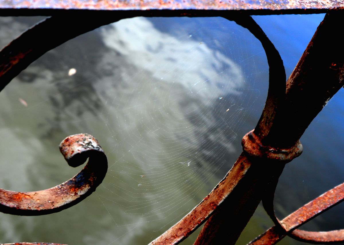 'Curved rust' Poster, picture, metal print, paint by Marcelo Antunes ...