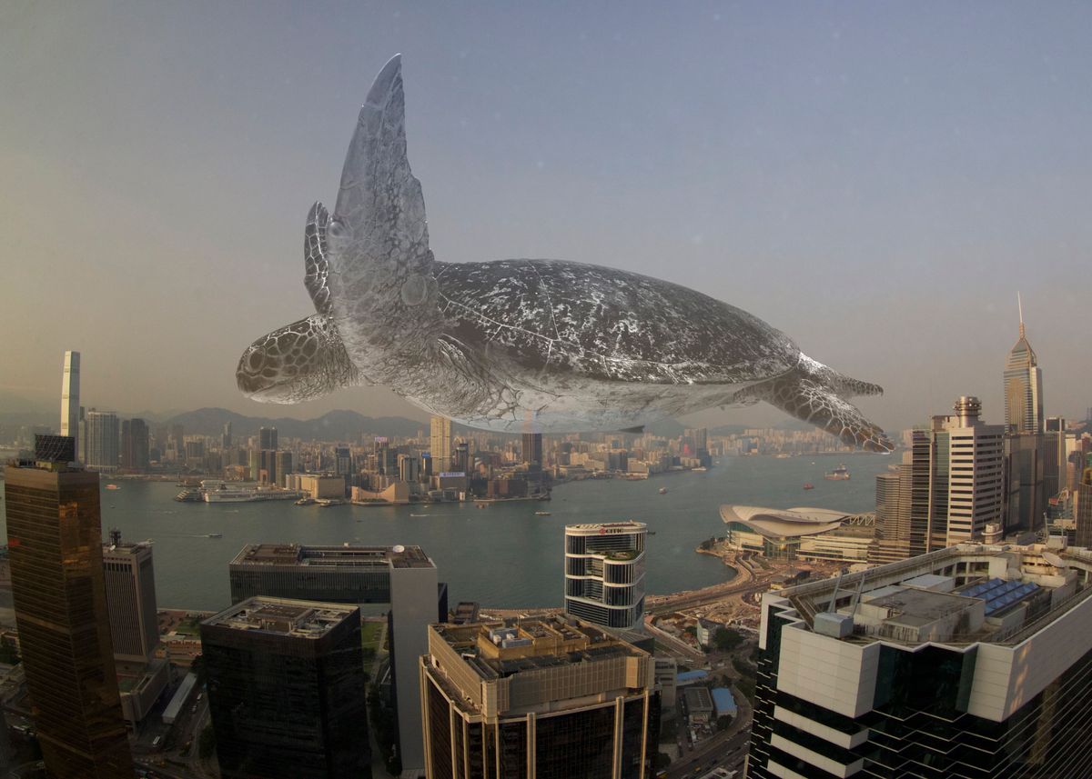 'Turtle flying over city' Poster, picture, metal print, paint by Anna ...