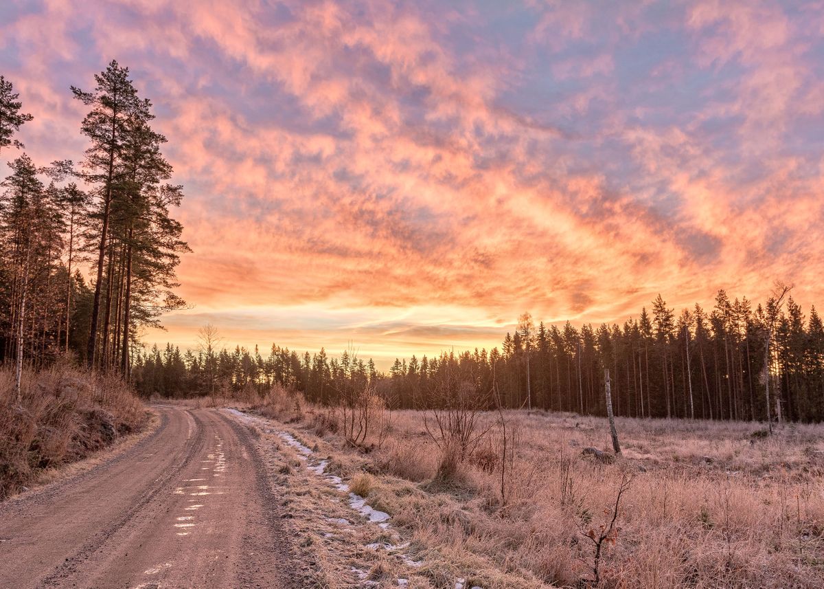 'Glowing' Poster, picture, metal print, paint by Daniel Langton | Displate