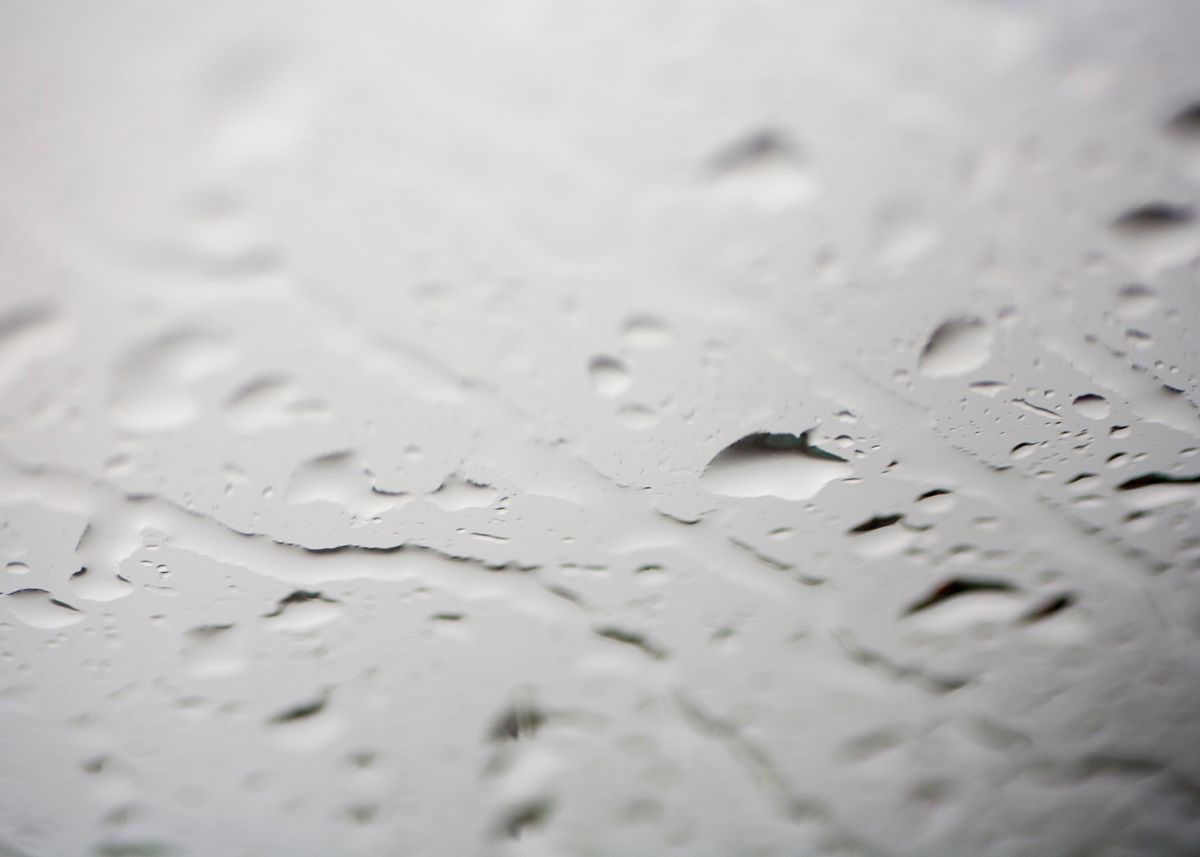 'Gray rain drops macro' Poster, picture, metal print, paint by ...