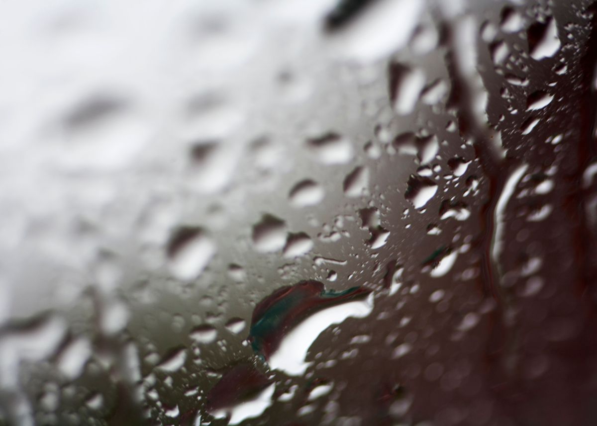 'Gray rain drops macro' Poster, picture, metal print, paint by ...