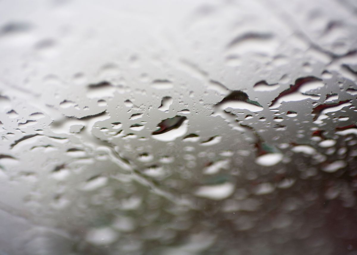 'Gray rain drops macro' Poster, picture, metal print, paint by ...
