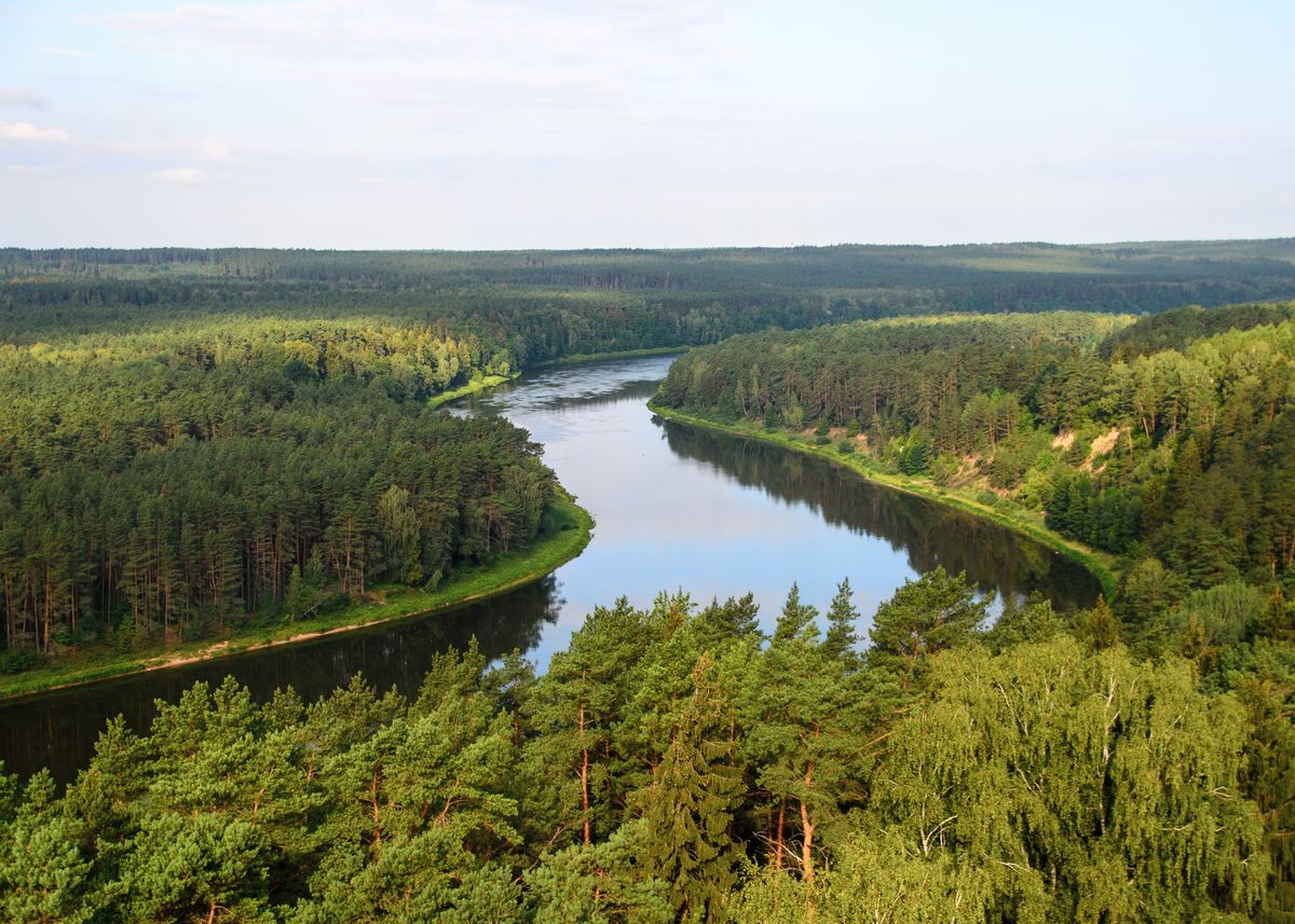 'River Nemunas' Poster, picture, metal print, paint by Tadas Lisauskas ...