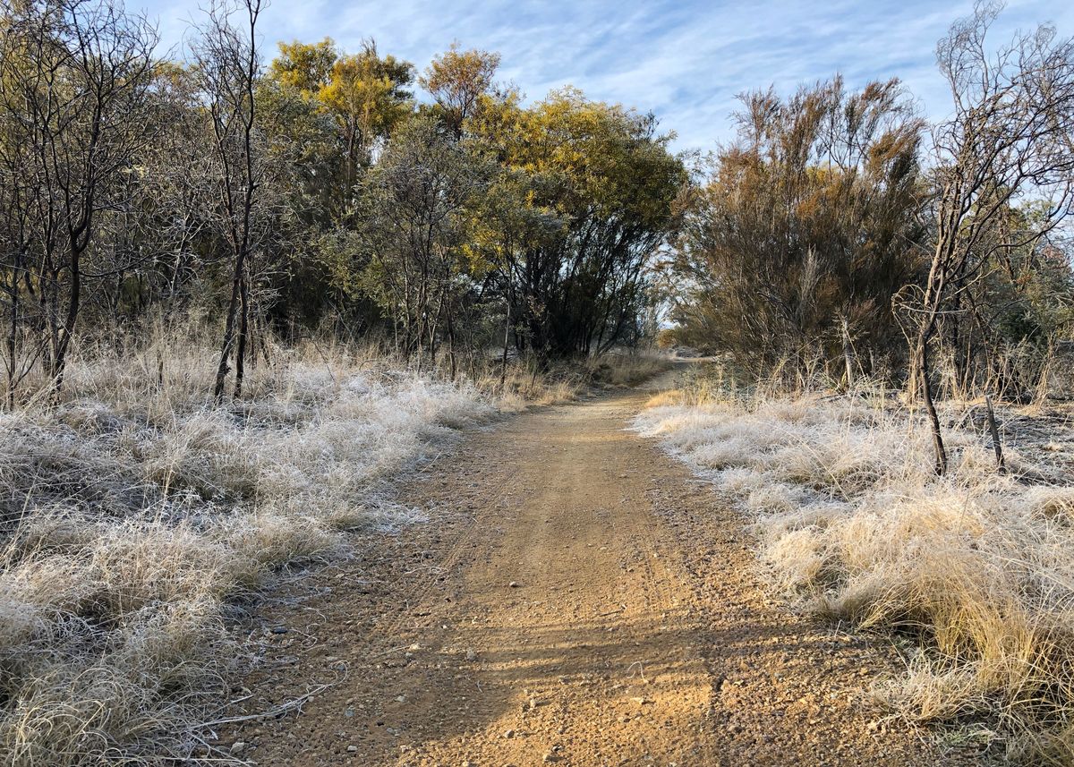 'Frosty Trail' Poster, picture, metal print, paint by Matthew ...
