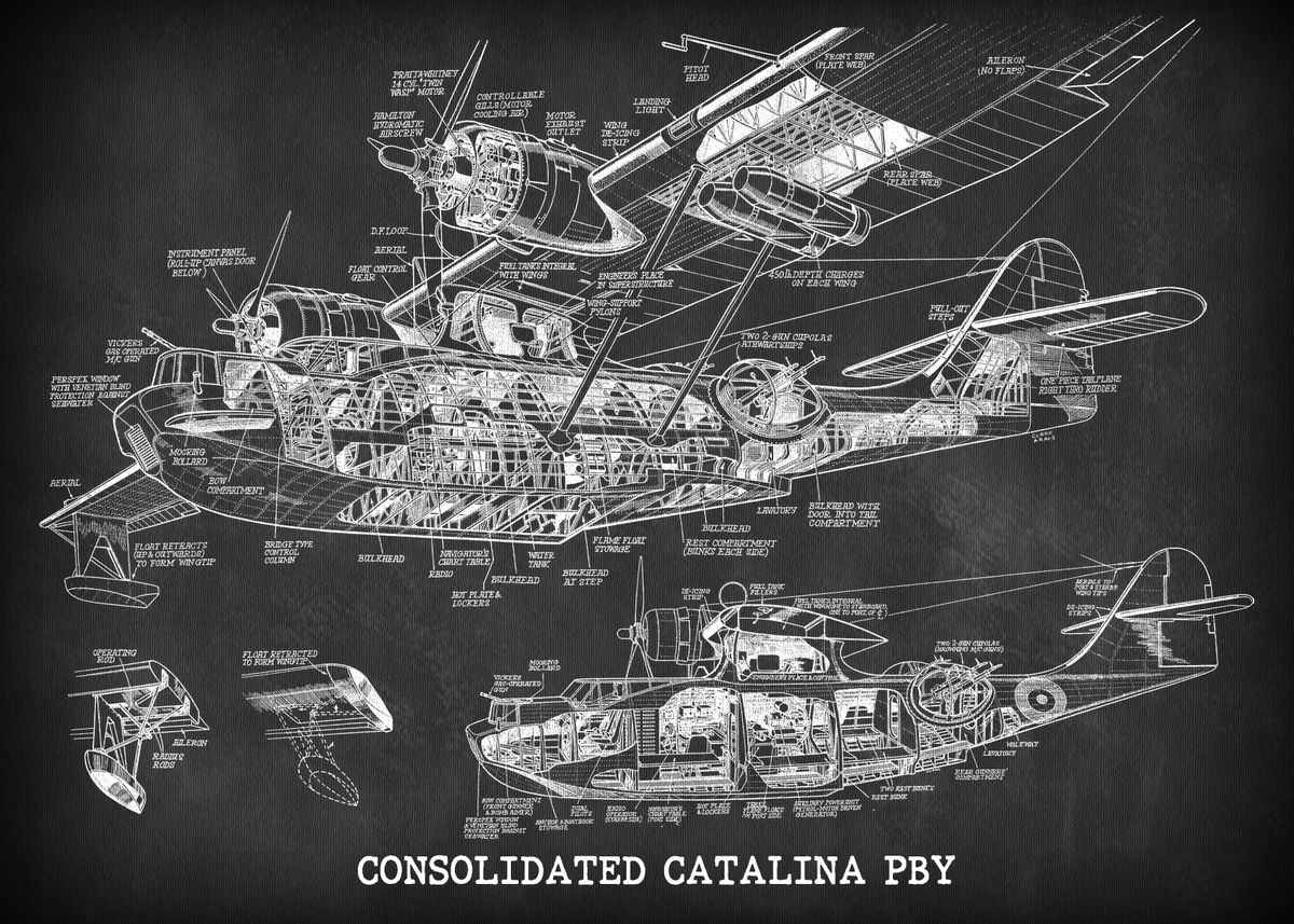 'CONSOLIDATED CATALINA PBY' Poster, picture, metal print, paint by ...