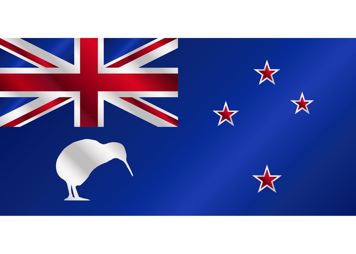 'New Zealand Flag With Kiwi' Poster, picture, metal print, paint by ...