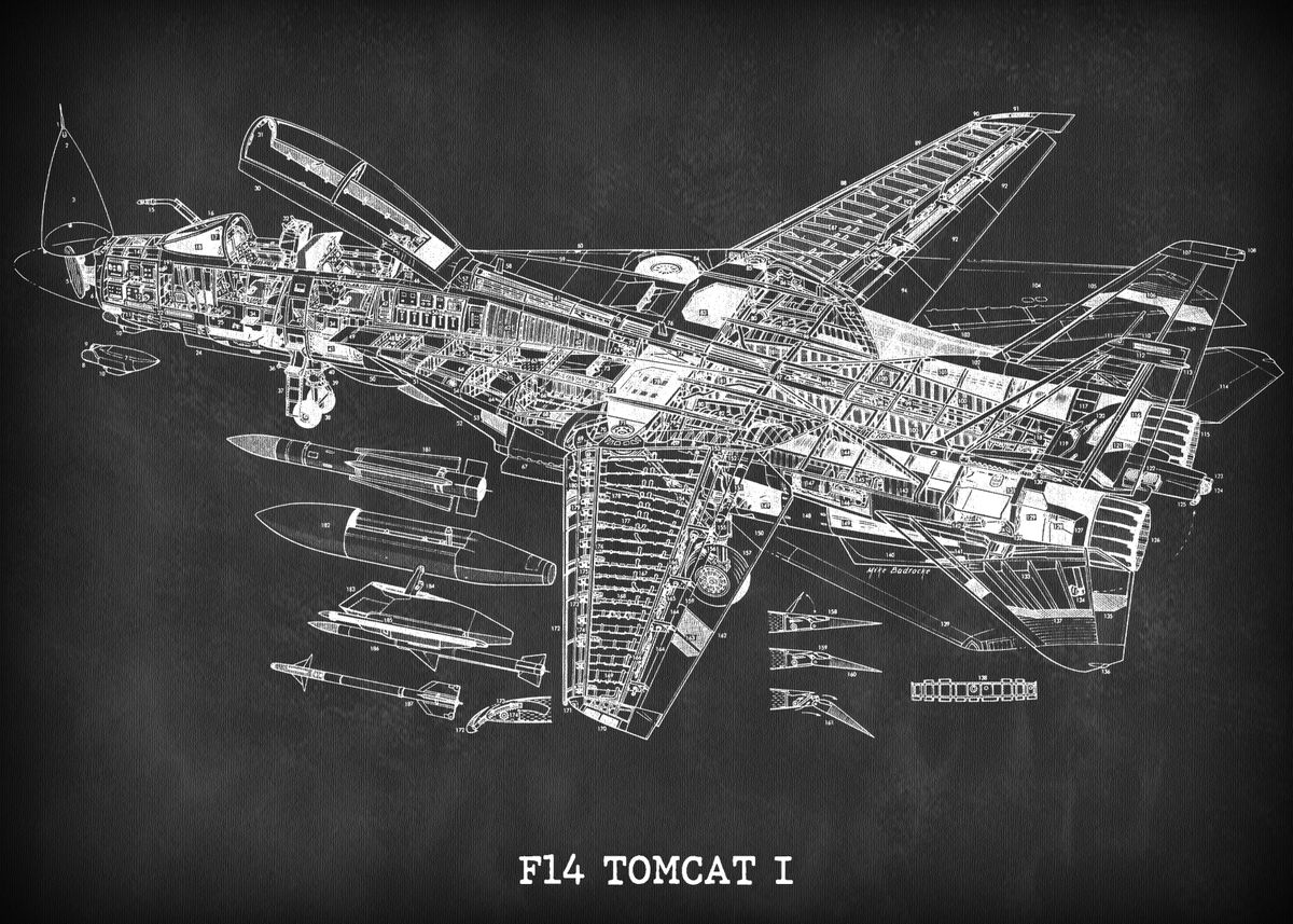 'F14 TOMCAT I' Poster, picture, metal print, paint by Blueprint Expert ...