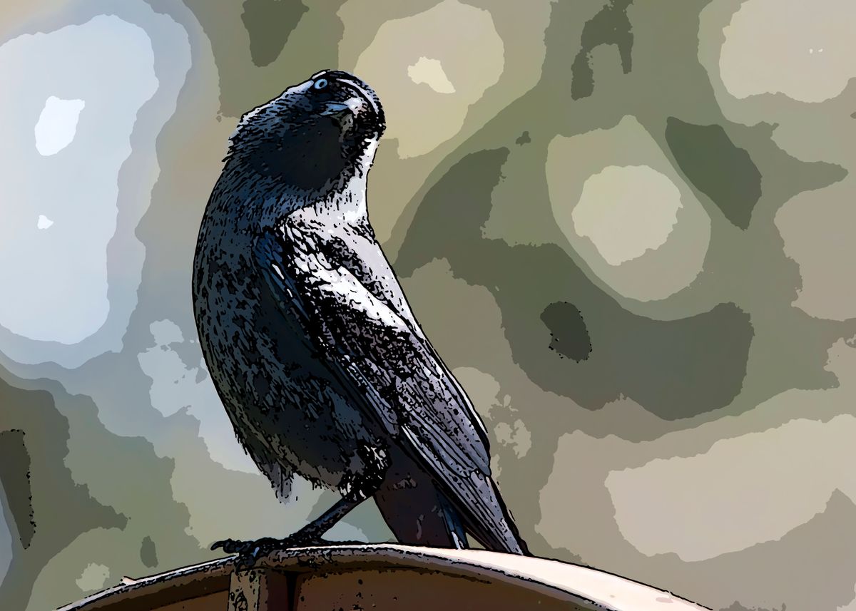 'Jackdaw on a Fence' Poster, picture, metal print, paint by Art By Mav ...