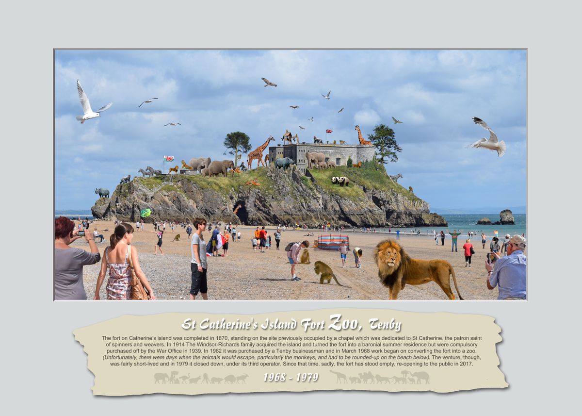 'Tenby Zoo' Poster, picture, metal print, paint by Mike Pratt | Displate