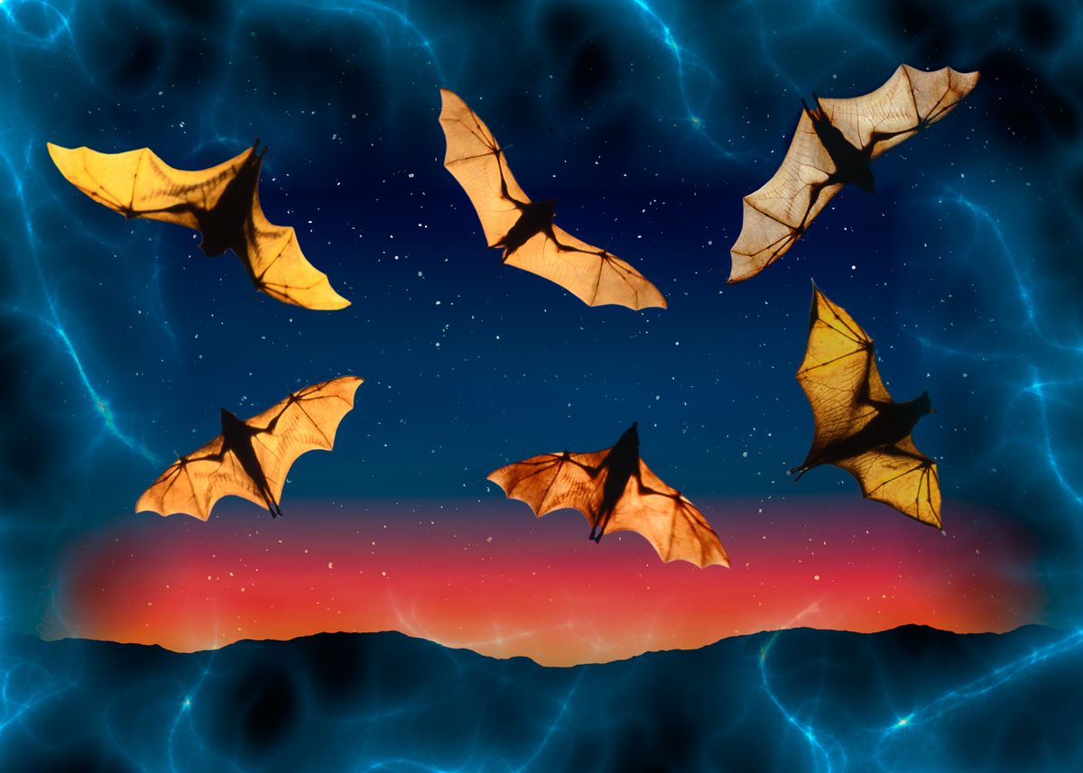 'Bats in sunset' Poster by Hans C Schrodter | Displate