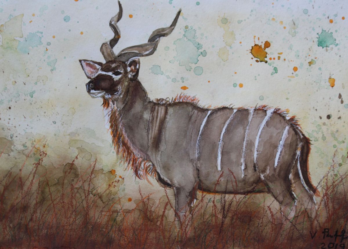 'Kudu male ' Poster, picture, metal print, paint by Vladimira ...