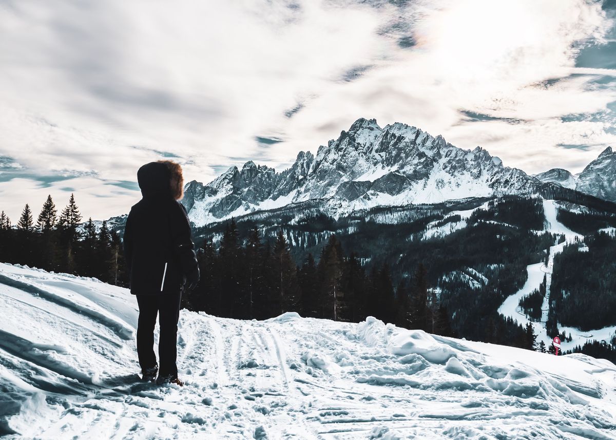 'Snow Solitude' Poster, picture, metal print, paint by Marco Berengan ...