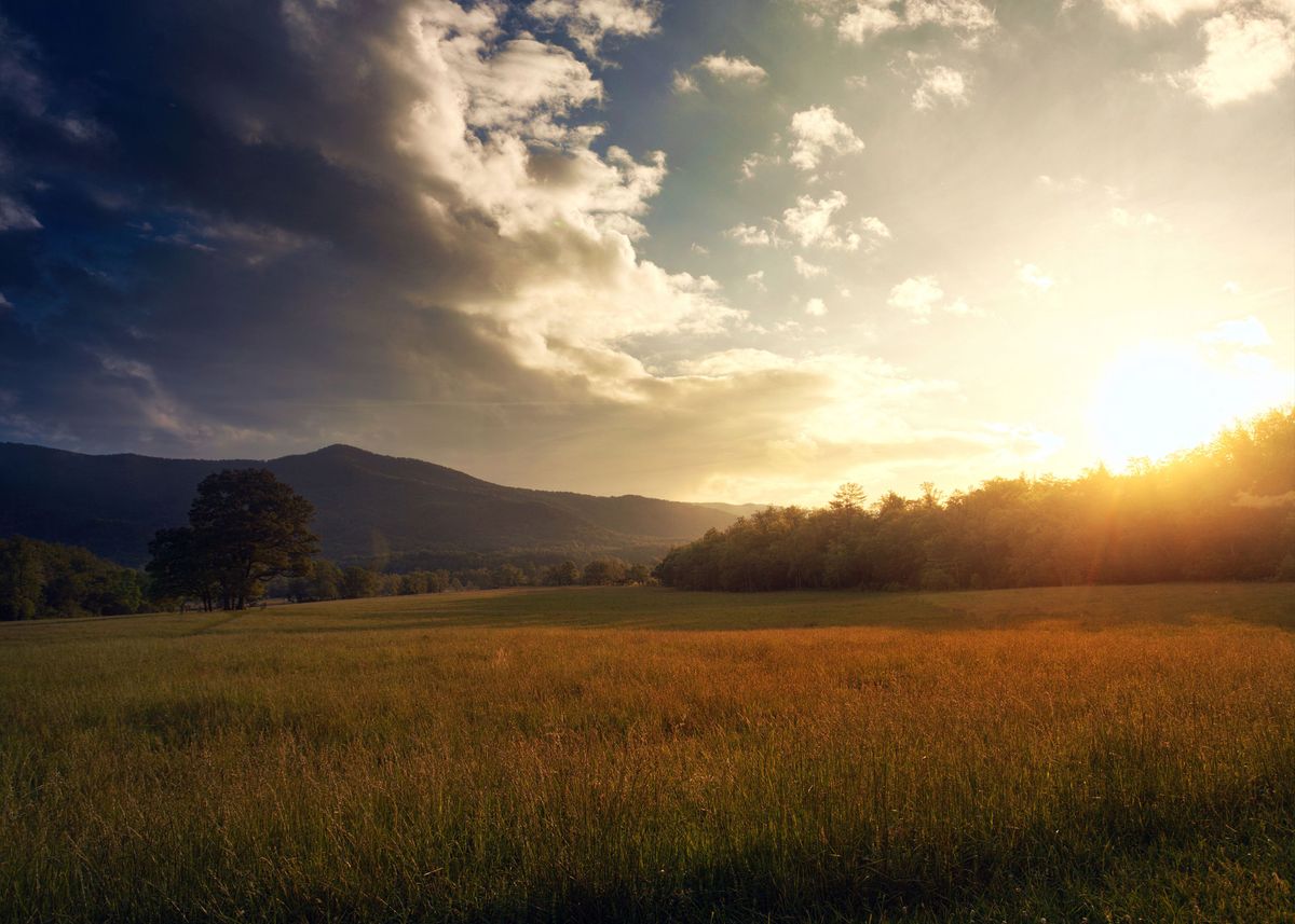 'Sunset In The Valley' Poster, picture, metal print, paint by Stunning ...