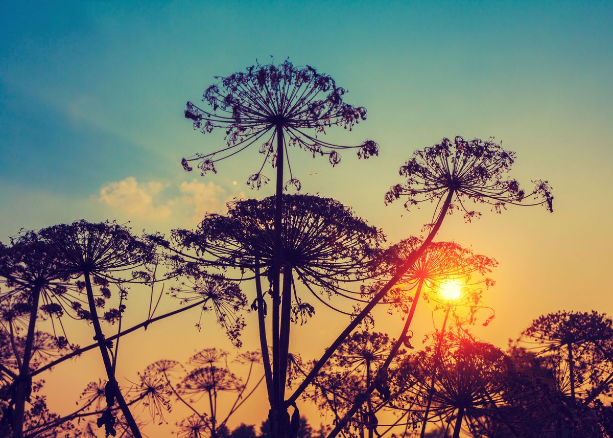 'Rural Landscape Autumn Fie' Poster, picture, metal print, paint by ...