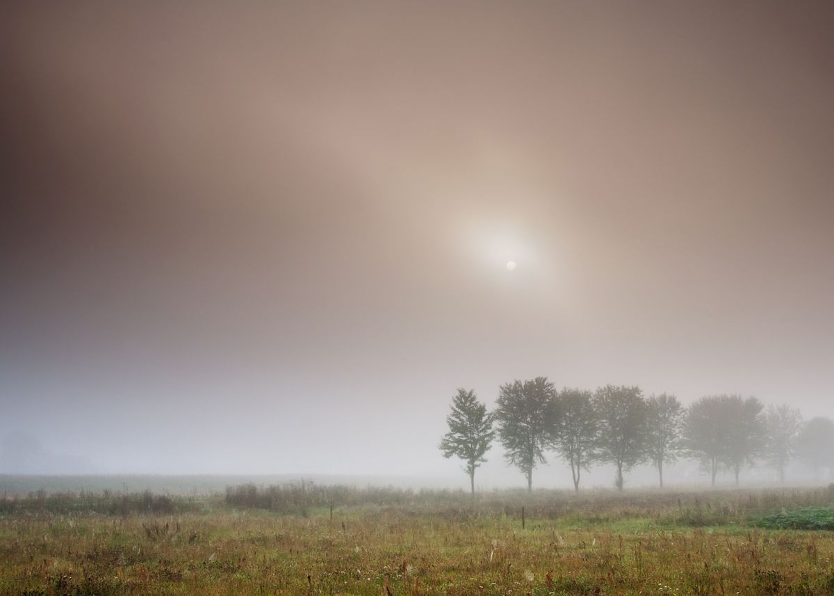 'Foggy Morning Field' Poster by Stunning Wallpapers | Displate