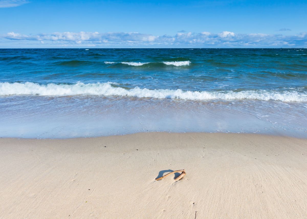 'Beach Landscape Baltic Coa' Poster, picture, metal print, paint by ...