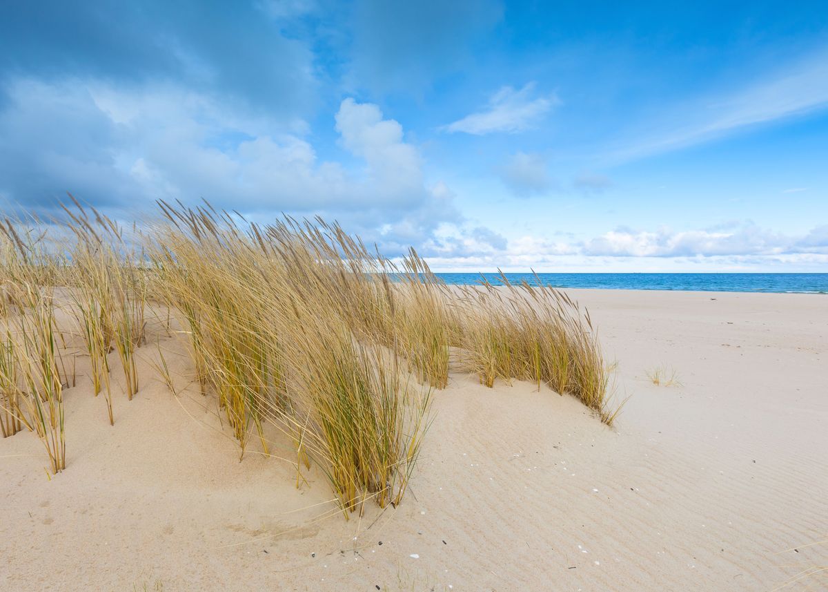 'Sea Shore With Grass Beaut' Poster by Stunning Wallpapers | Displate