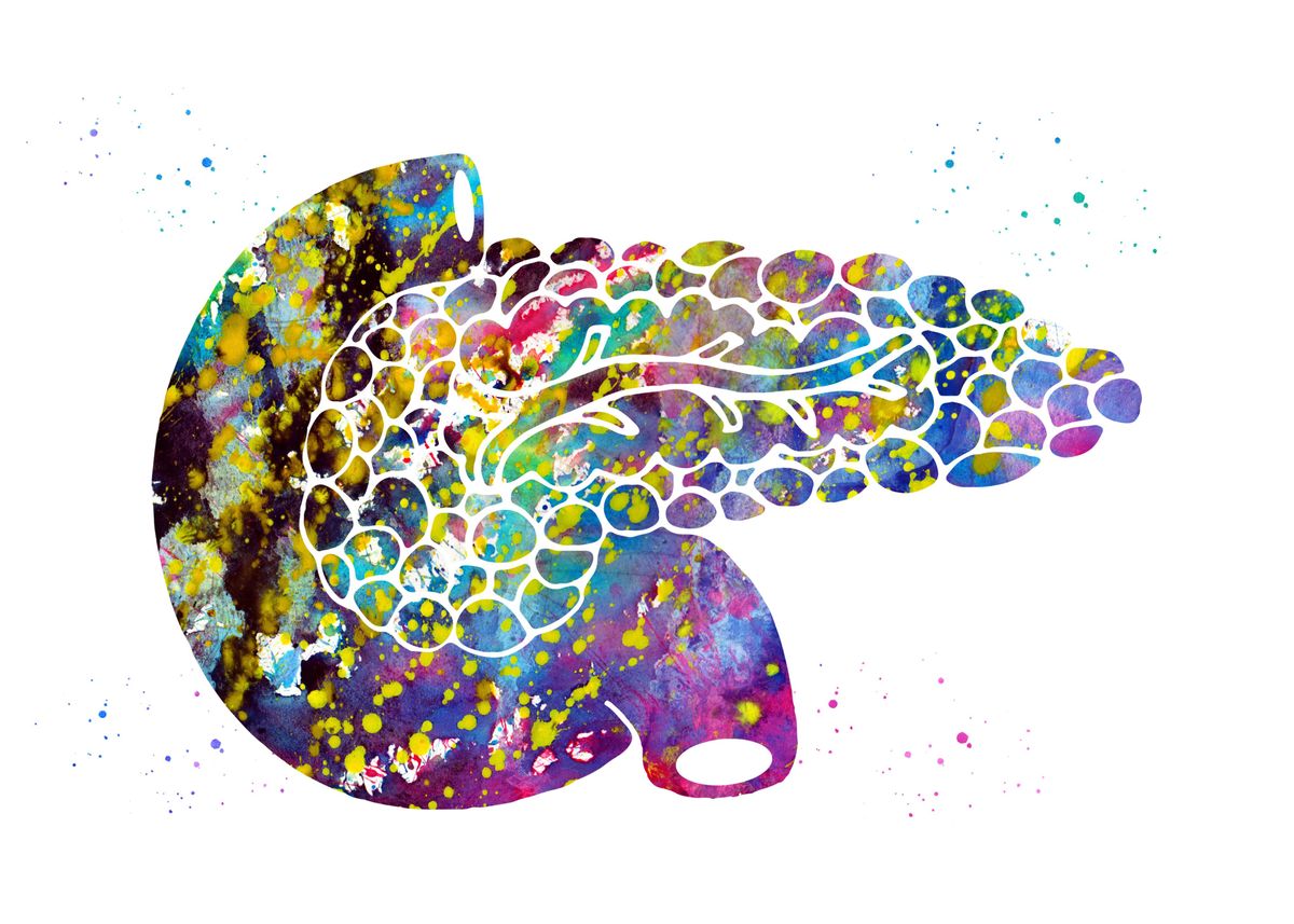 'Pancreas' Poster by Erzebet Prikel | Displate