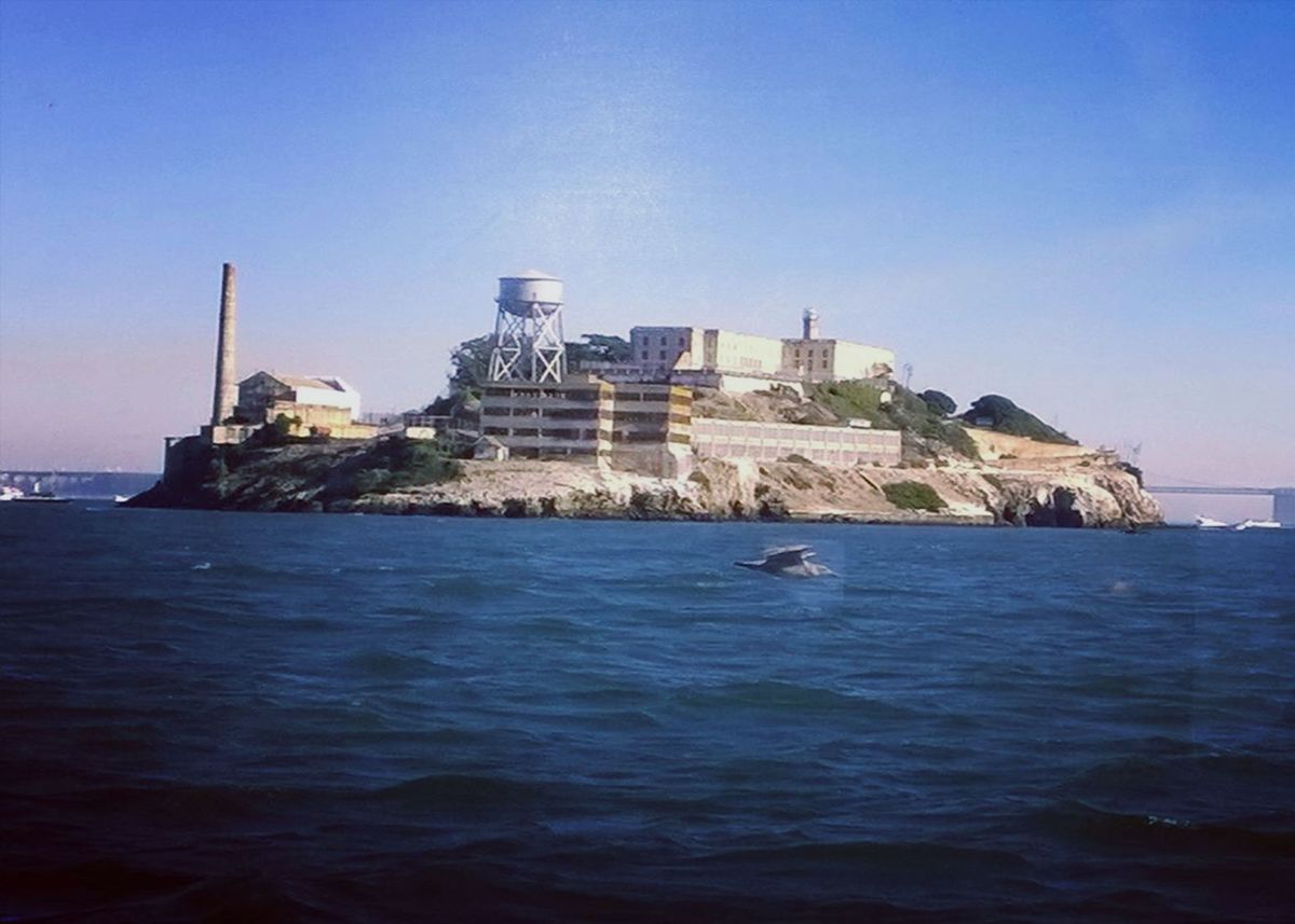 'SF Alcatraz Original' Poster, picture, metal print, paint by Sbro Cali ...