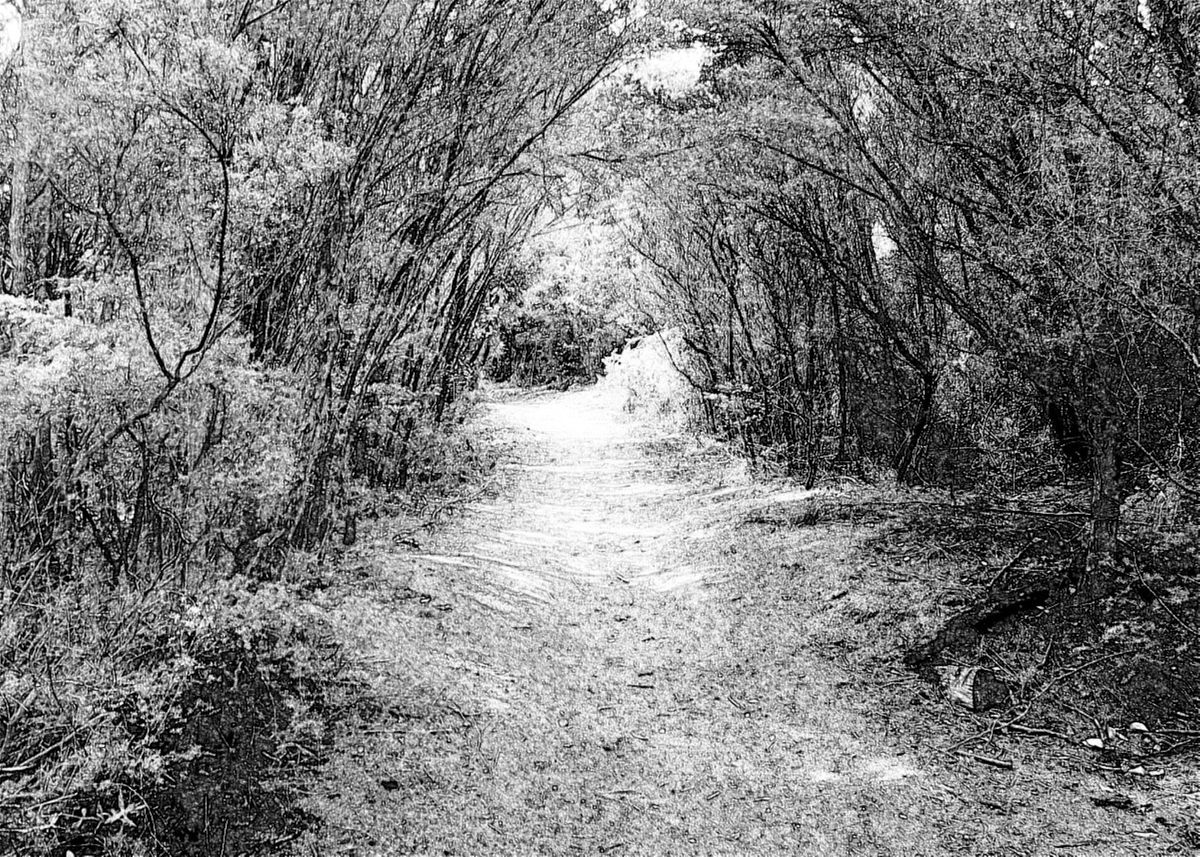 'Hiking Trail Sketch' Poster by Martin Fredrickson | Displate