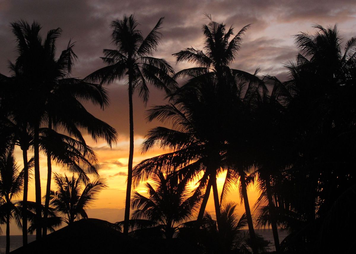 'Sunset in Paradise' Poster, picture, metal print, paint by ...