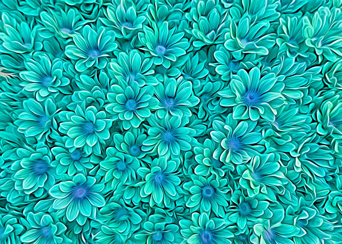 'colorful daisy in bloom ' Poster, picture, metal print, paint by ...