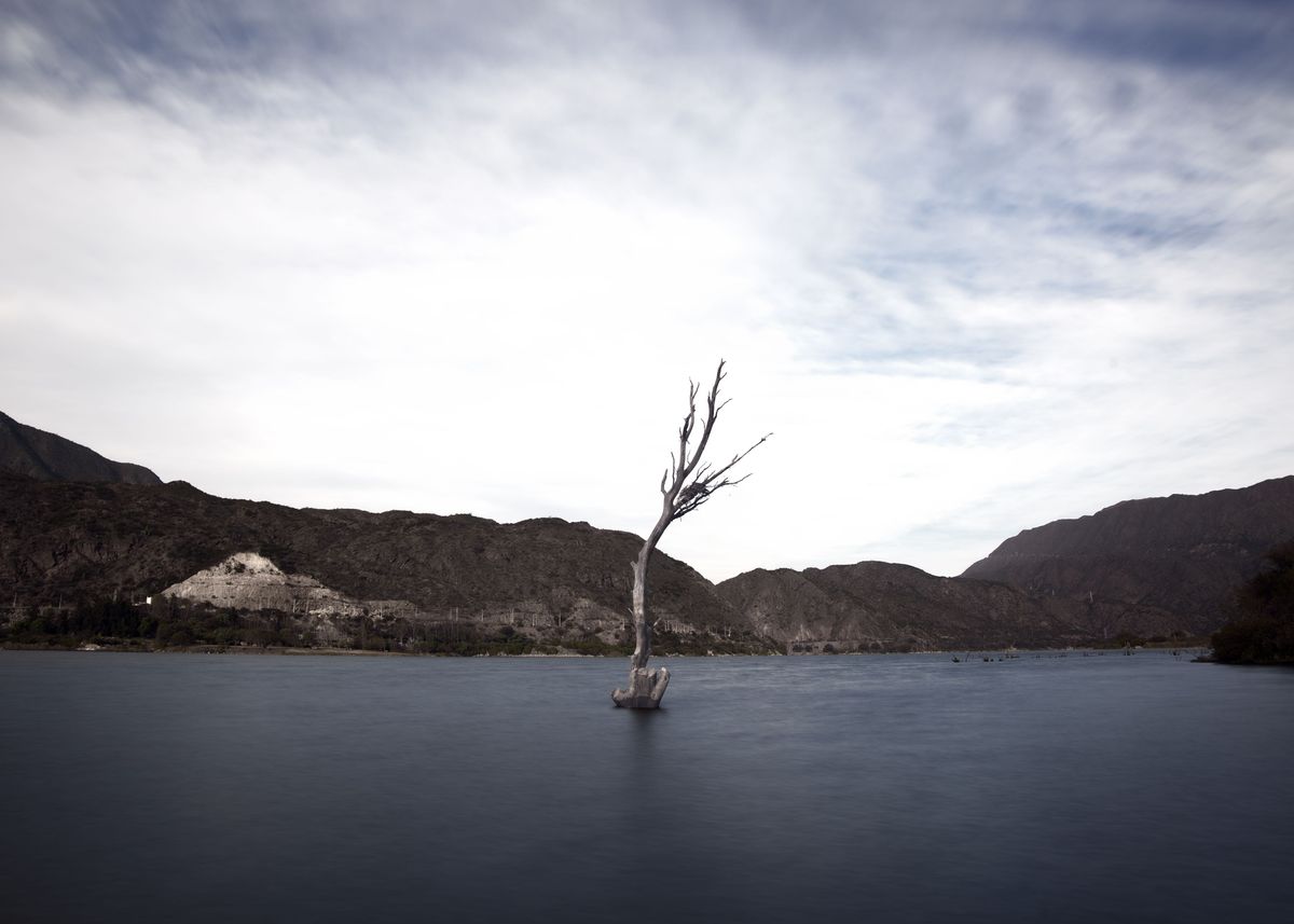 'Remain' Poster, picture, metal print, paint by Guillermo Khairallah ...