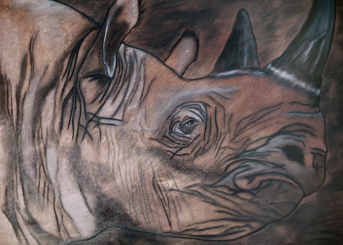 'Black Rhino' Poster, picture, metal print, paint by Charel ...