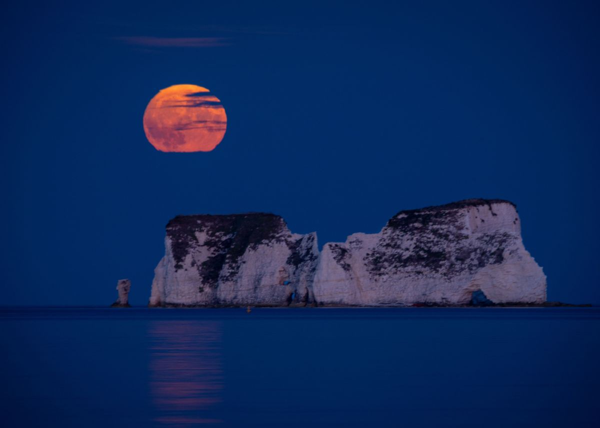 'Harvest Moon Rise' Poster, picture, metal print, paint by Scott ...