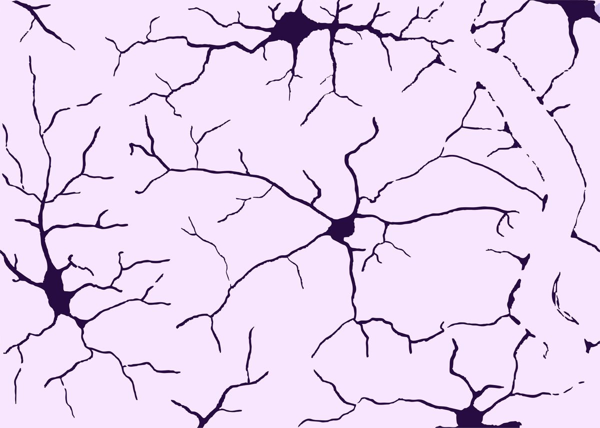 'Astrocyte Culture' Poster, picture, metal print, paint by Katrina ...