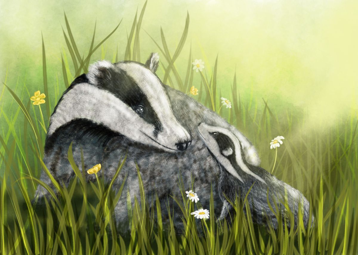 'Badgers' Poster by Leah Ingledew | Displate