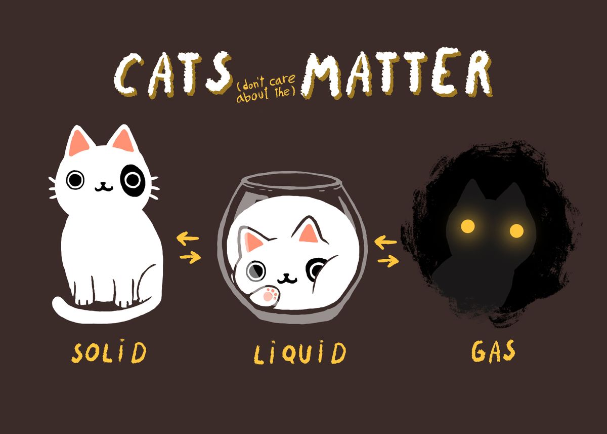 'Cat Physics' Poster, picture, metal print, paint by Blanca Vidal ...