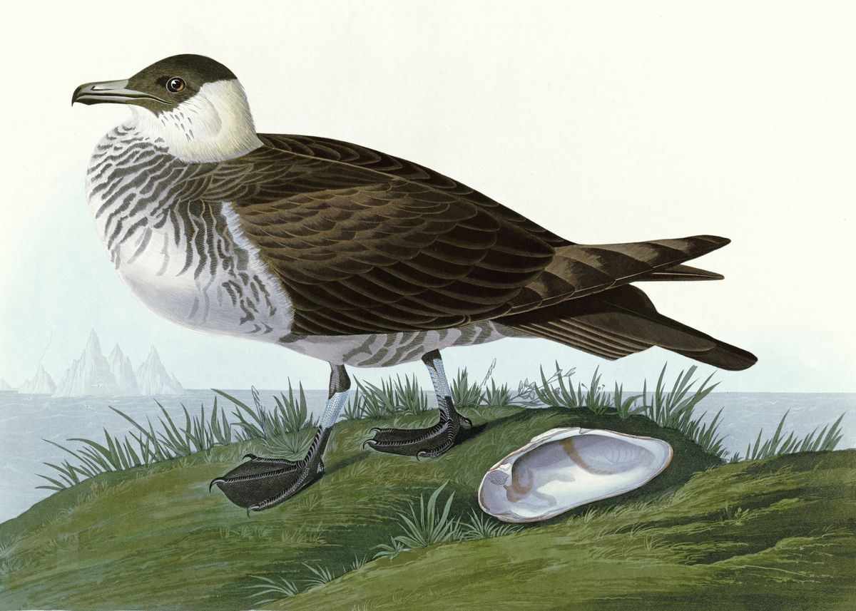 ' Jager' Poster, picture, metal print, paint by Old master art | Displate