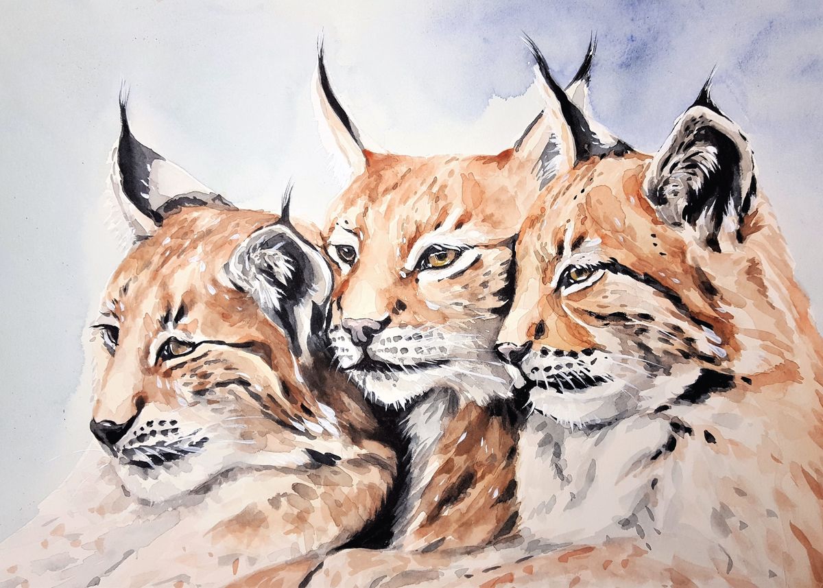 'Three Lynx' Poster by Cornea Designs | Displate