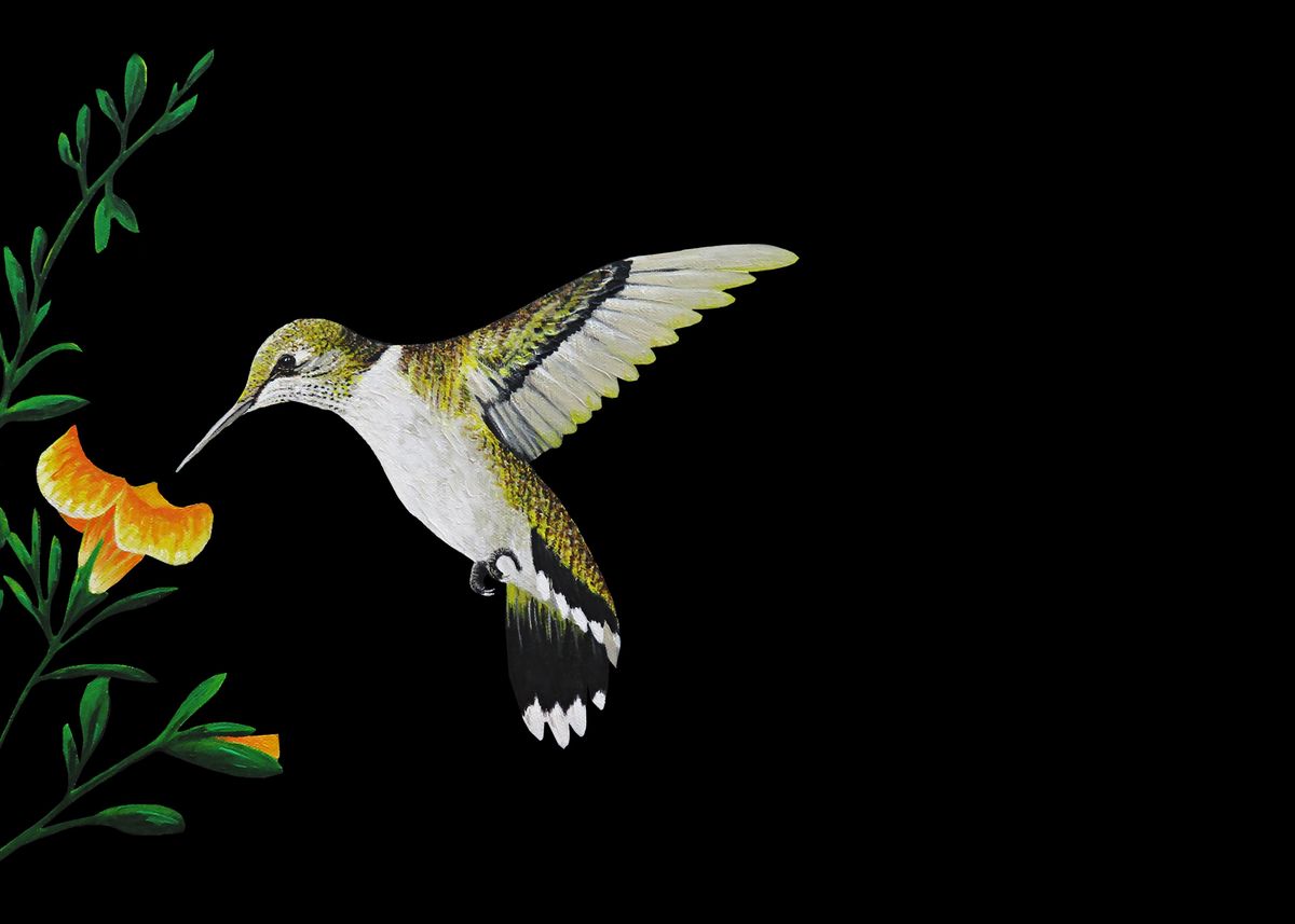 'Colibri 2' Poster, picture, metal print, paint by Glyphe | Displate